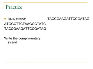 DNA structure, function, replication lesson | PPT