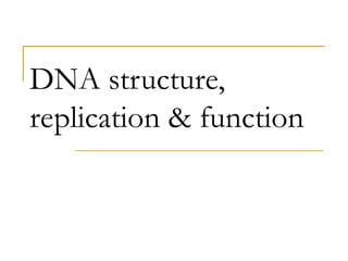 DNA structure, function, replication lesson | PPT