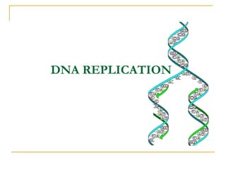 DNA structure, function, replication lesson | PPT