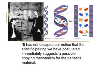 DNA structure, function, replication lesson | PPT