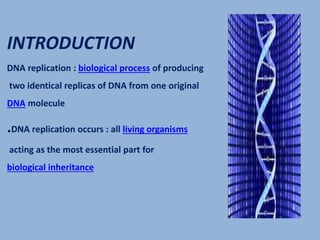 Dna replication in e.coli