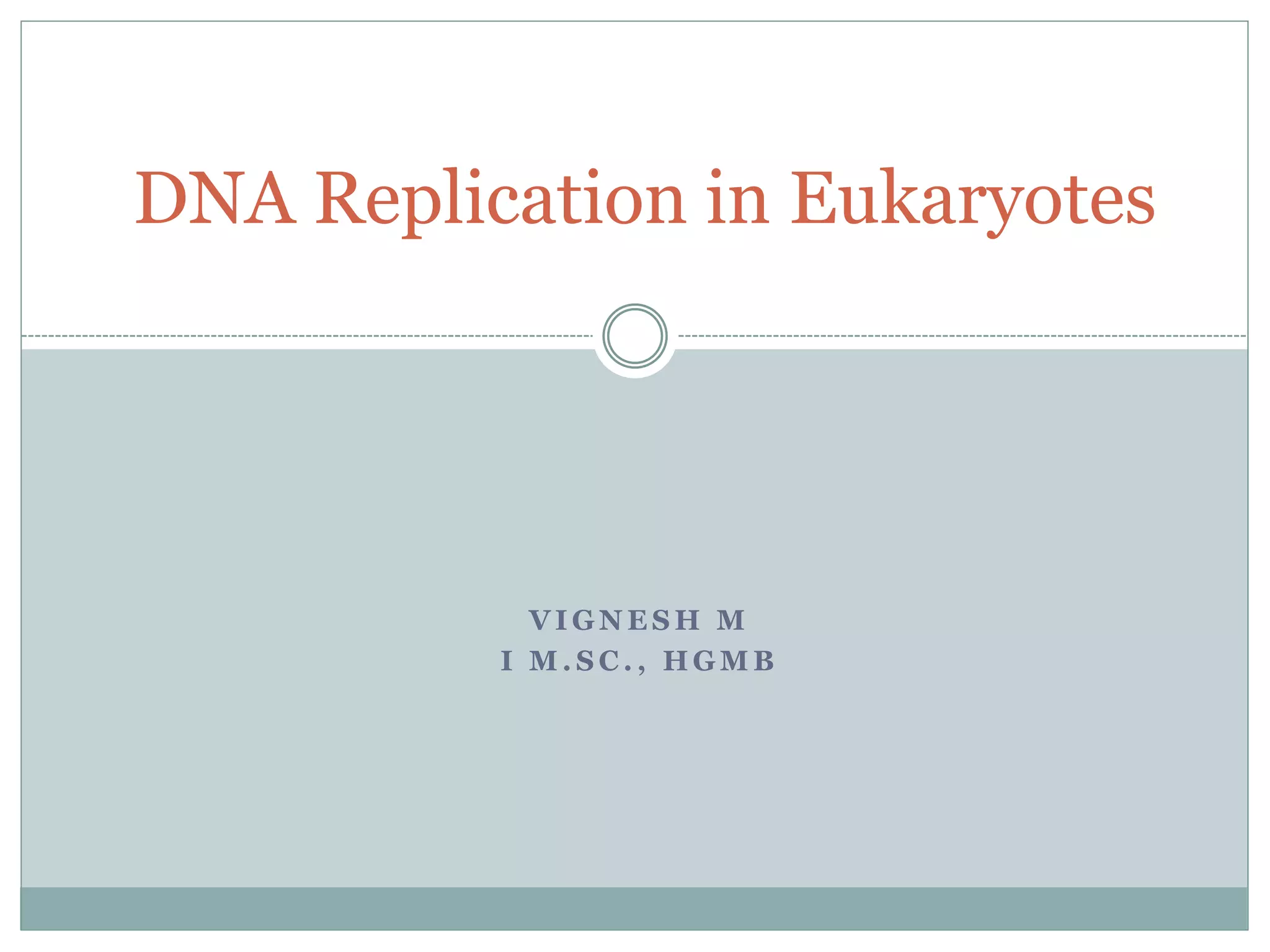 Dna Replication In Eukaryotes Ppt
