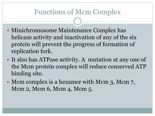 Dna replication in eukaryotes | PPTX