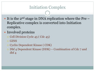 Dna replication in eukaryotes | PPTX