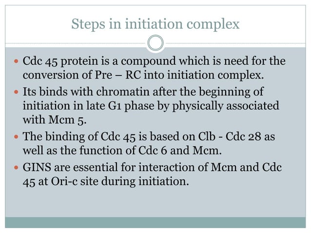 Dna Replication In Eukaryotes Pptx