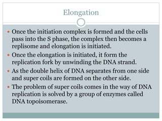 Dna replication in eukaryotes | PPTX
