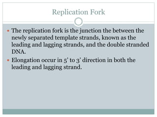 Dna replication in eukaryotes | PPTX