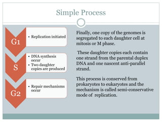 Dna replication in eukaryotes | PPTX