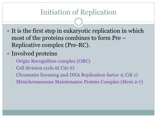 Dna replication in eukaryotes | PPTX