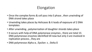 Dna replication in eukaryotes | PPTX