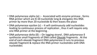 Dna replication in eukaryotes | PPTX