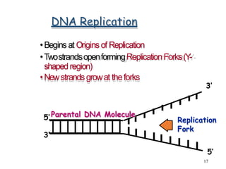 Replication | PPTX