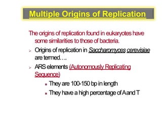 Replication | PPTX