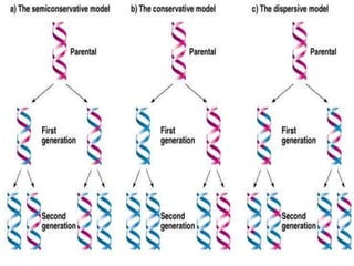 Replication | PPTX