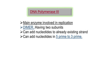 Dna replication in eukaryotes | PPT