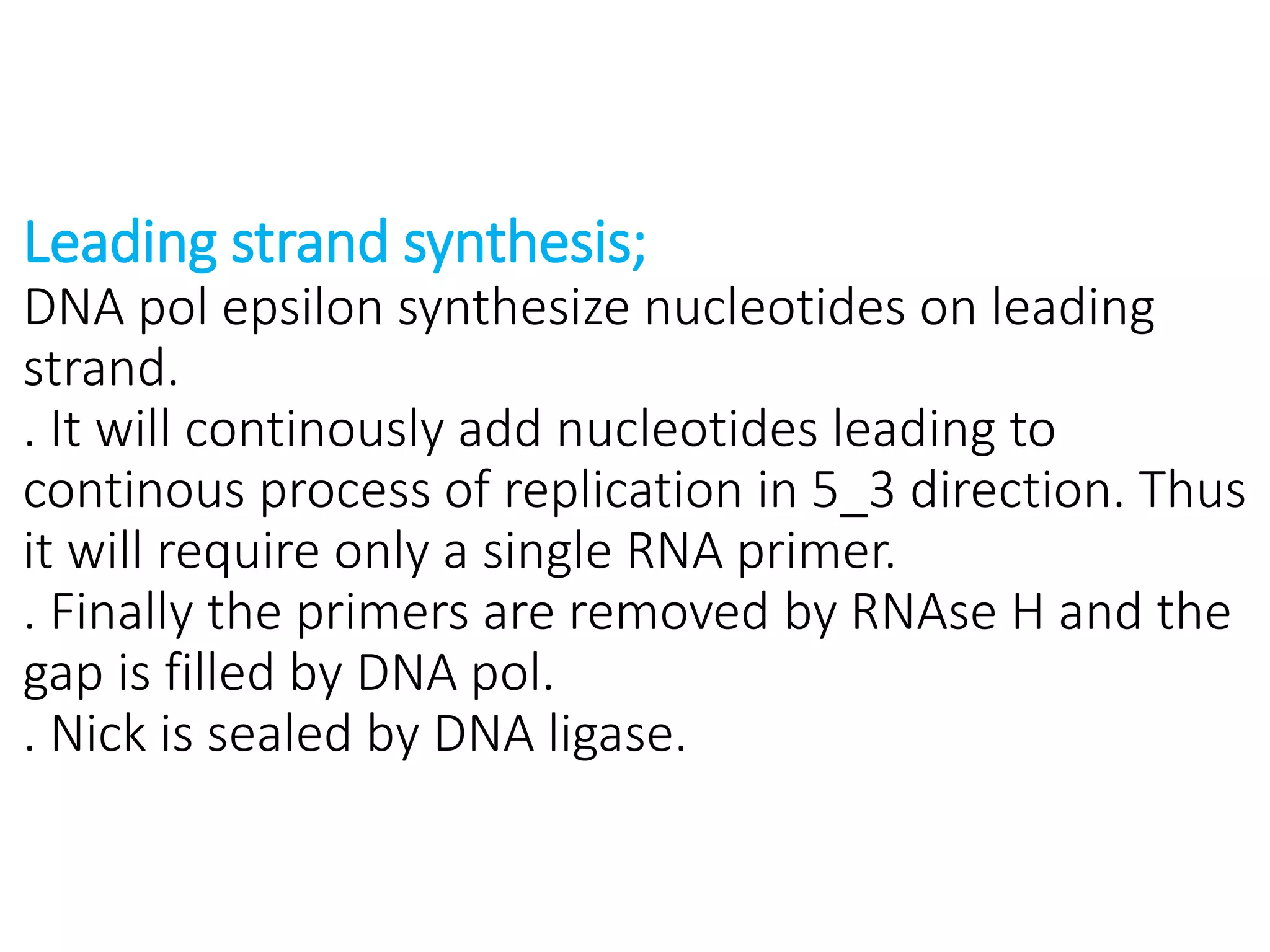 Dna replication in eukaryotes | PPTX