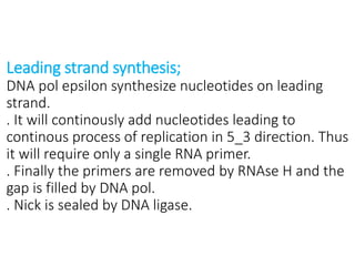 Dna replication in eukaryotes | PPTX