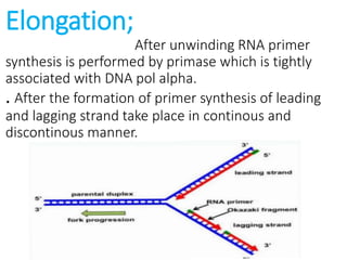 Dna replication in eukaryotes | PPTX