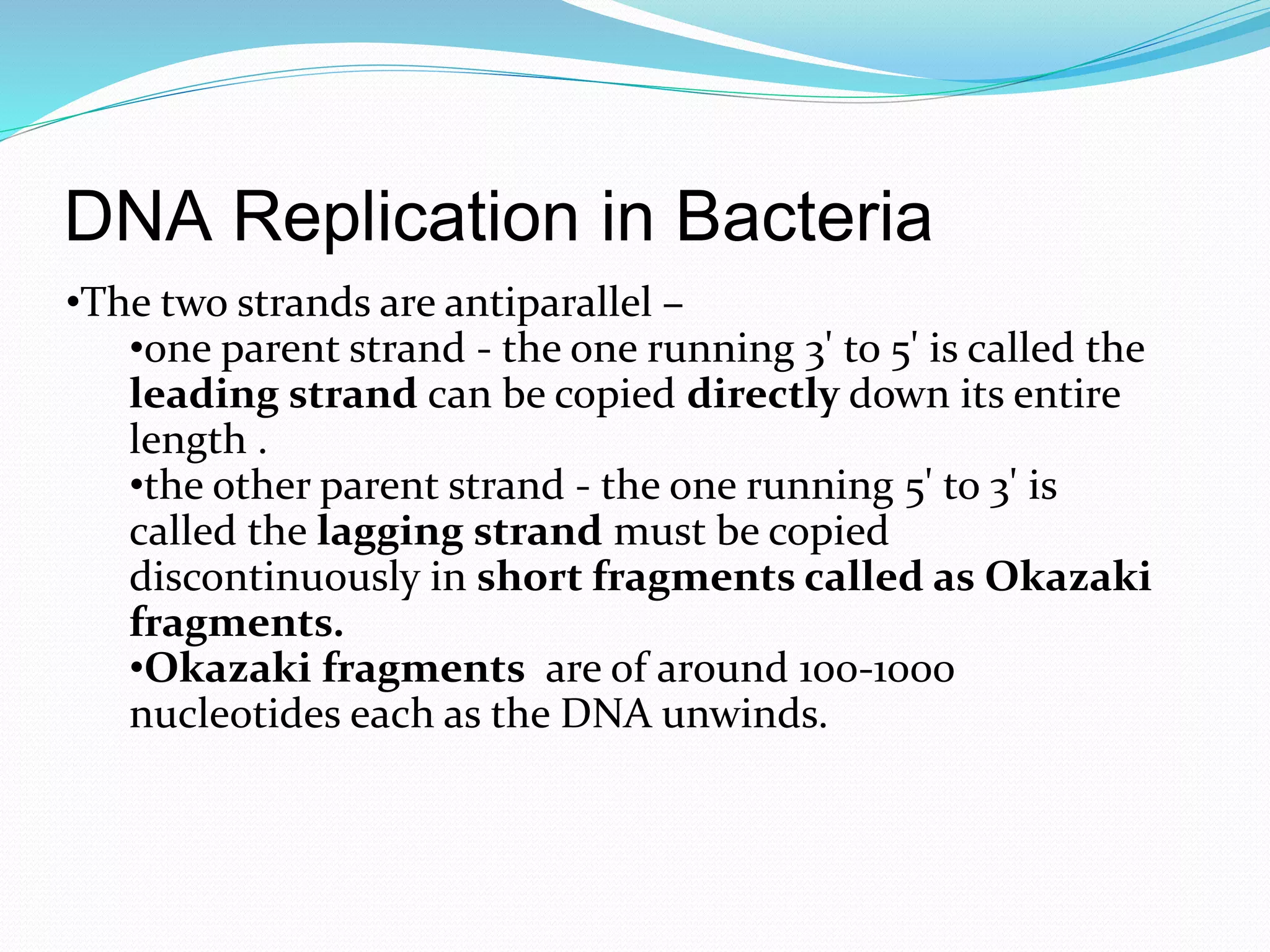 Dna replication in prokaryotes | PPTX