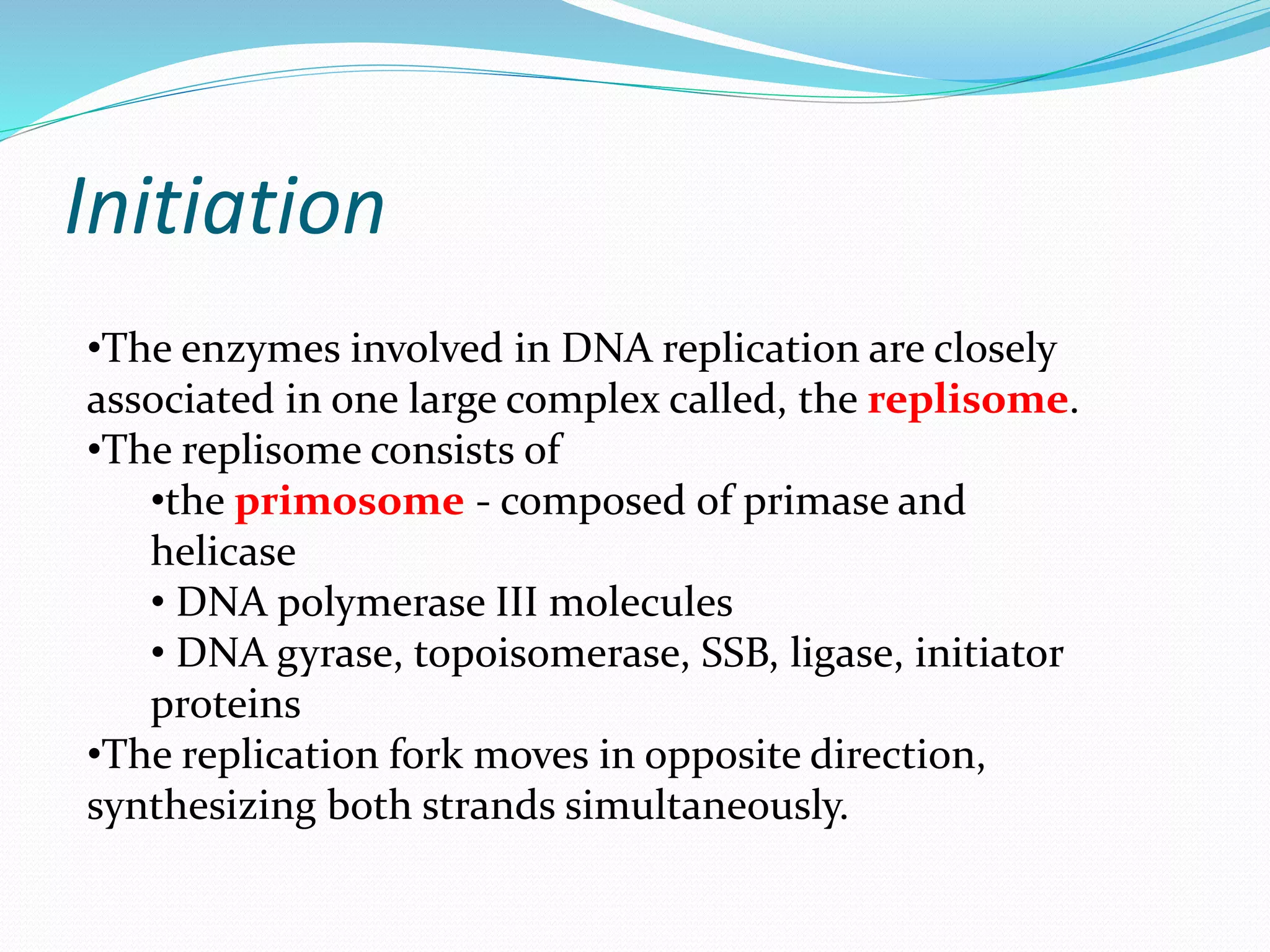 Dna replication in prokaryotes | PPTX