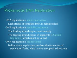 Dna replication in prokaryotes | PPTX