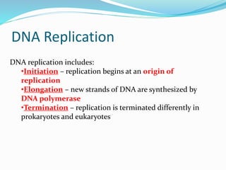 Dna replication in prokaryotes | PPTX