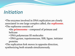 Dna replication in prokaryotes | PPTX