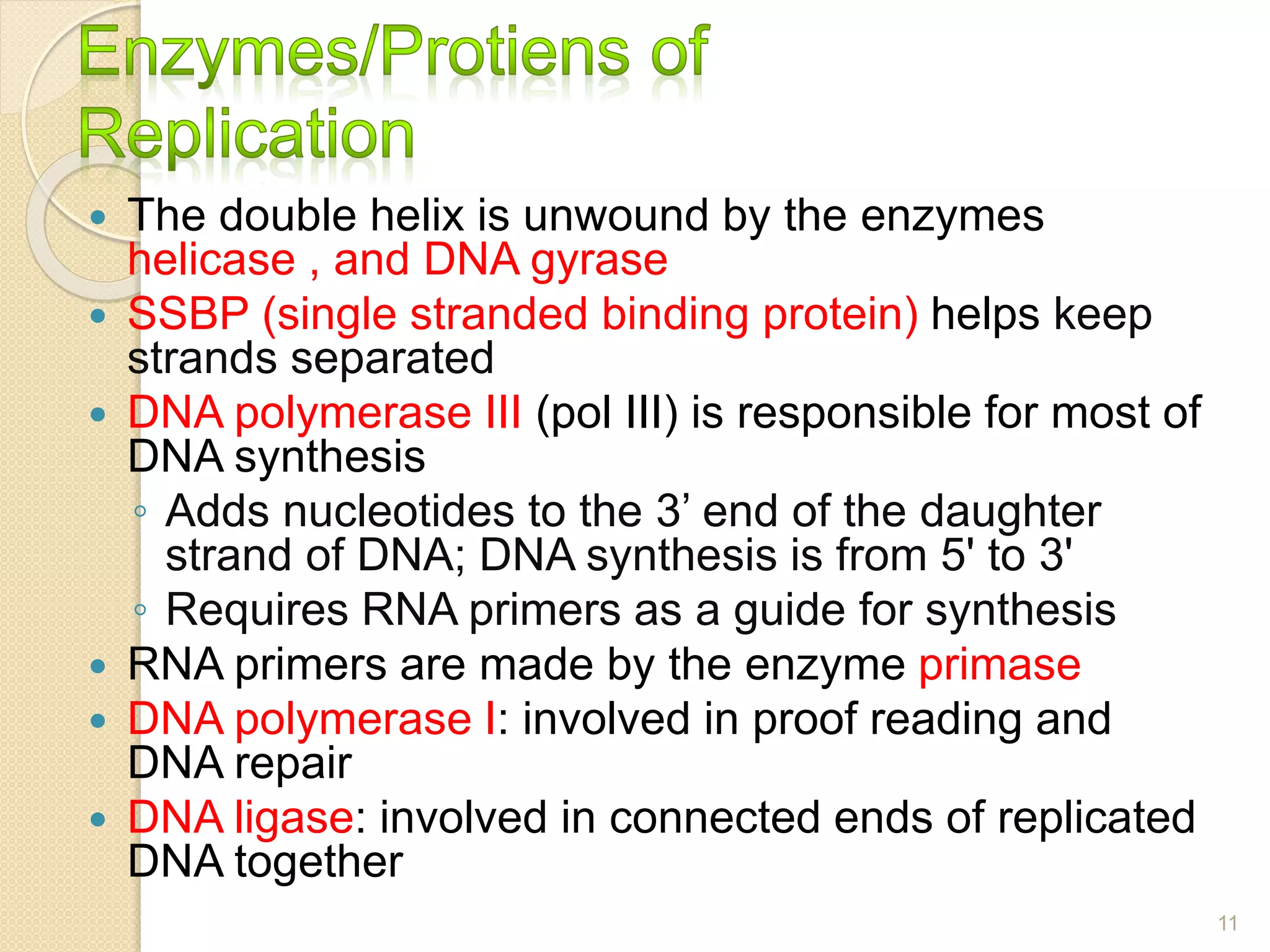 Dna replication in prokaryotes | PPTX