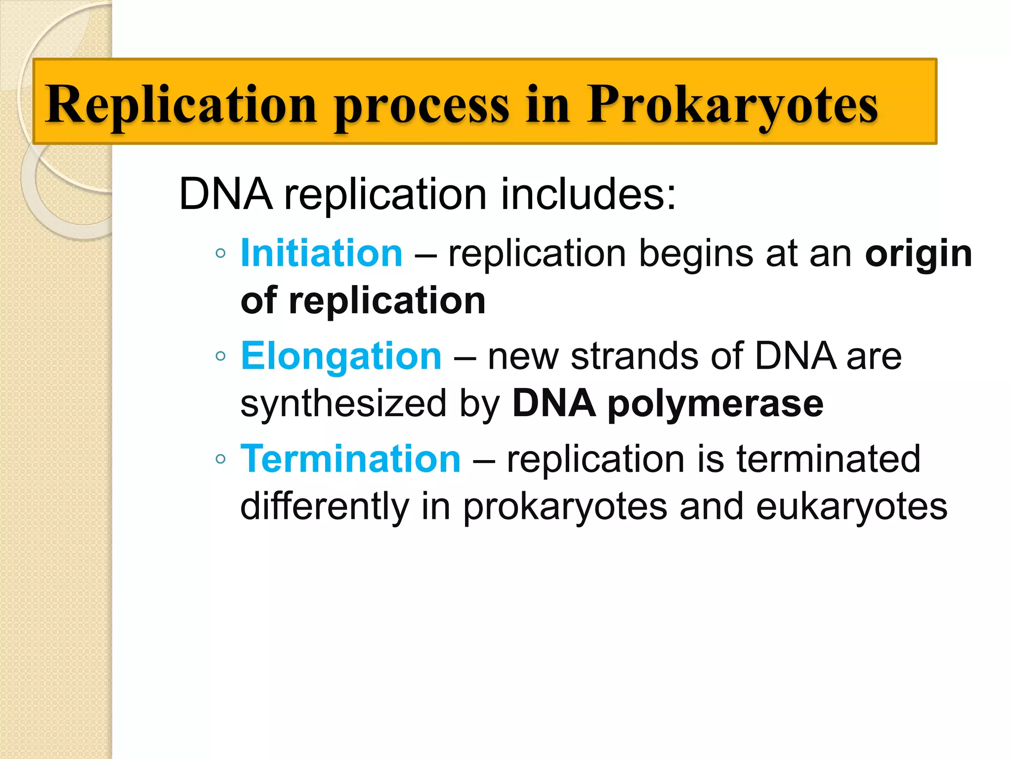 Dna Replication In Prokaryotes Pptx