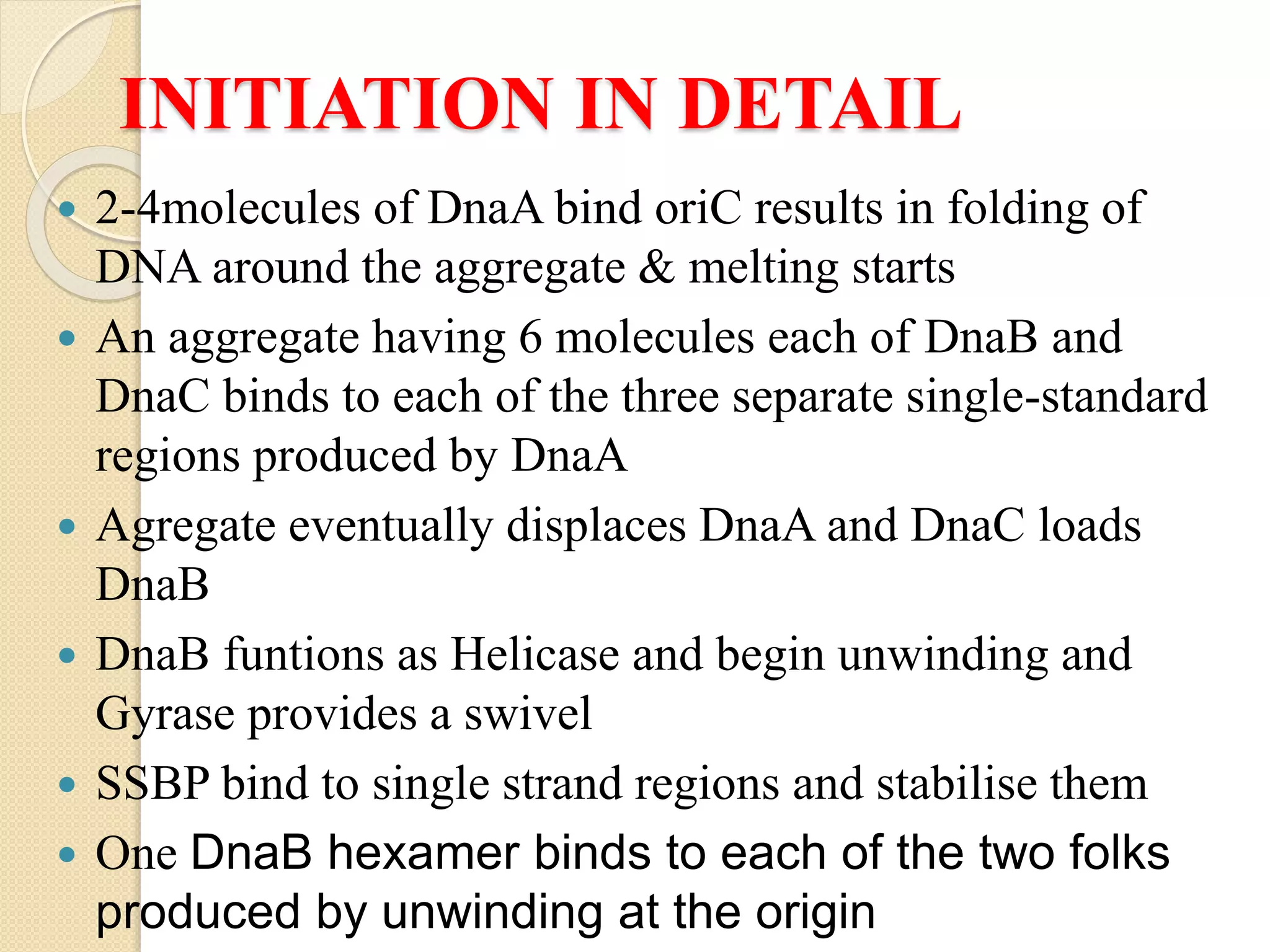 Dna replication in prokaryotes | PPTX