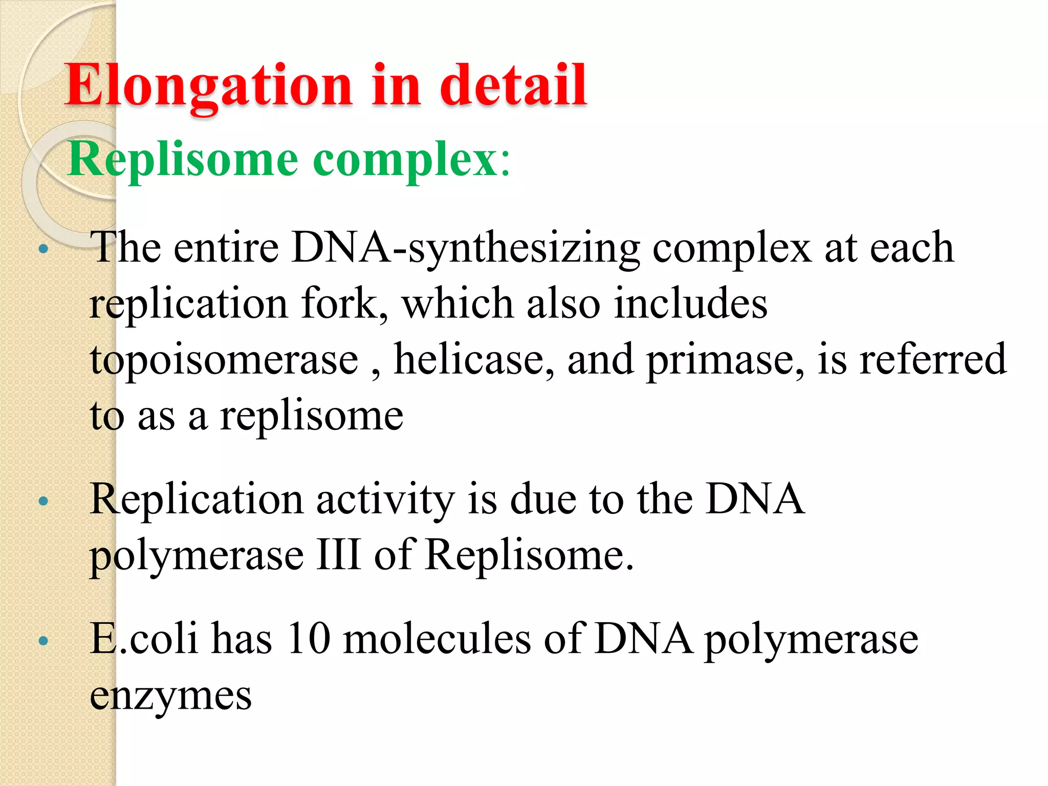 Dna replication in prokaryotes | PPTX