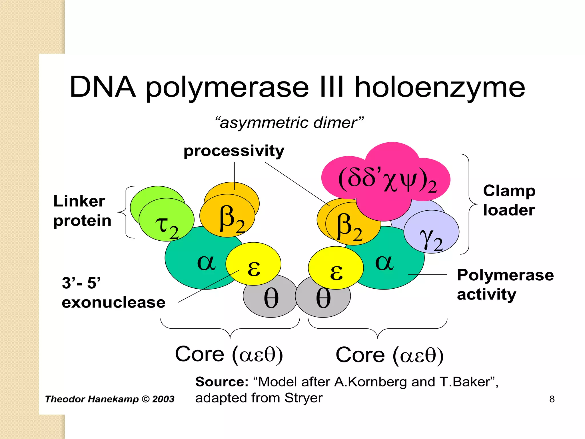 Dna replication in prokaryotes | PPTX