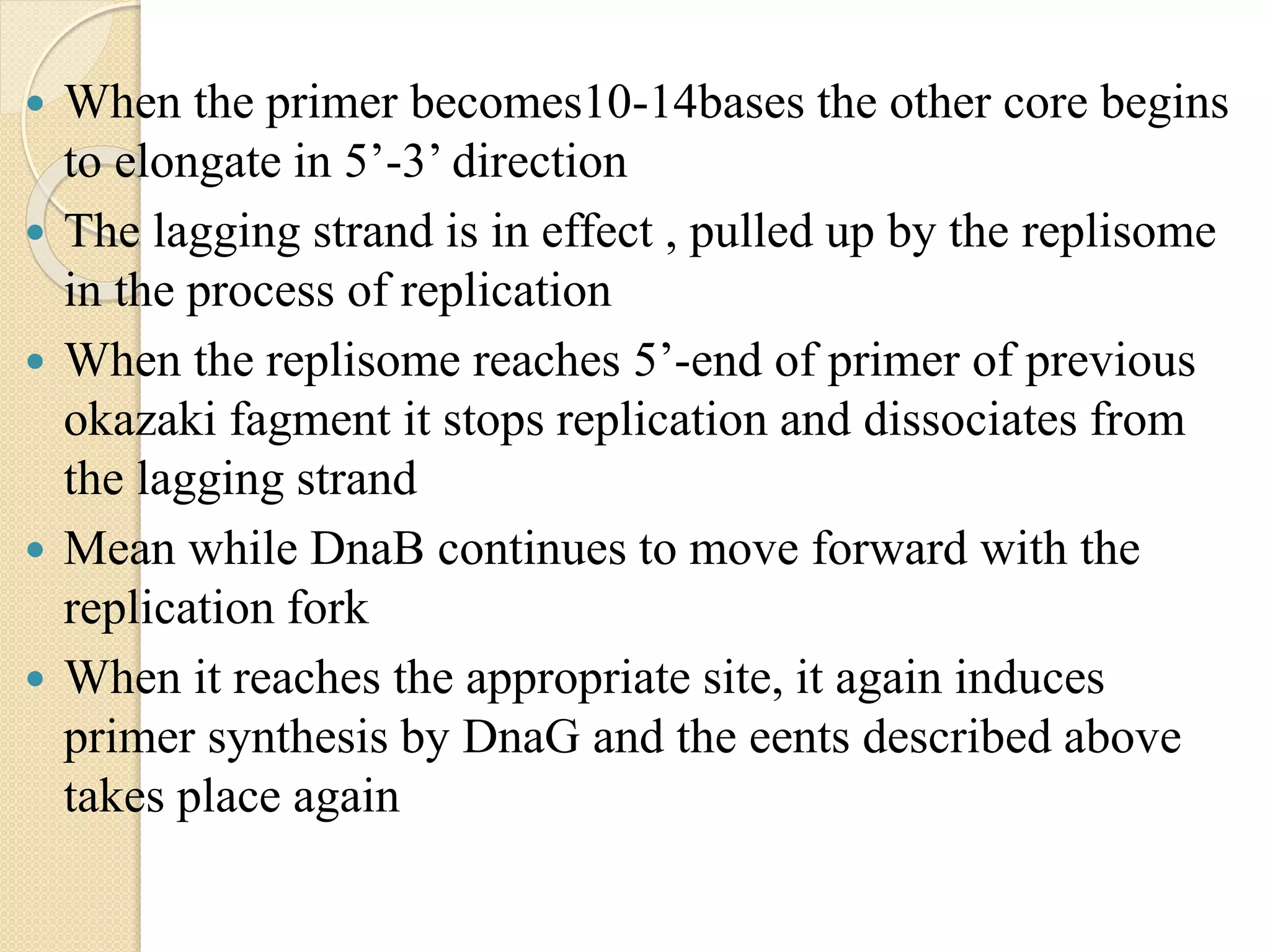 Dna replication in prokaryotes | PPTX