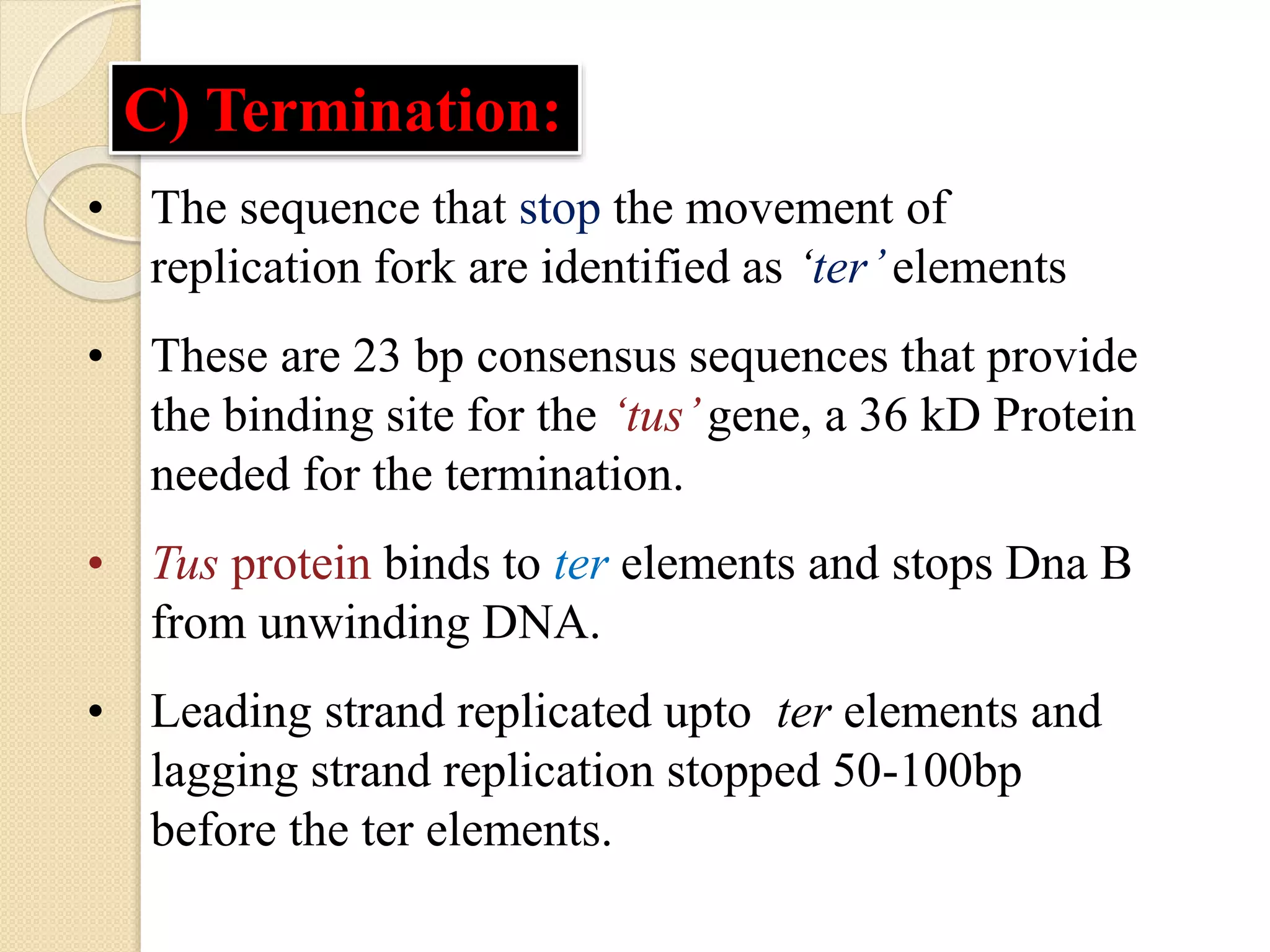 Dna replication in prokaryotes | PPTX