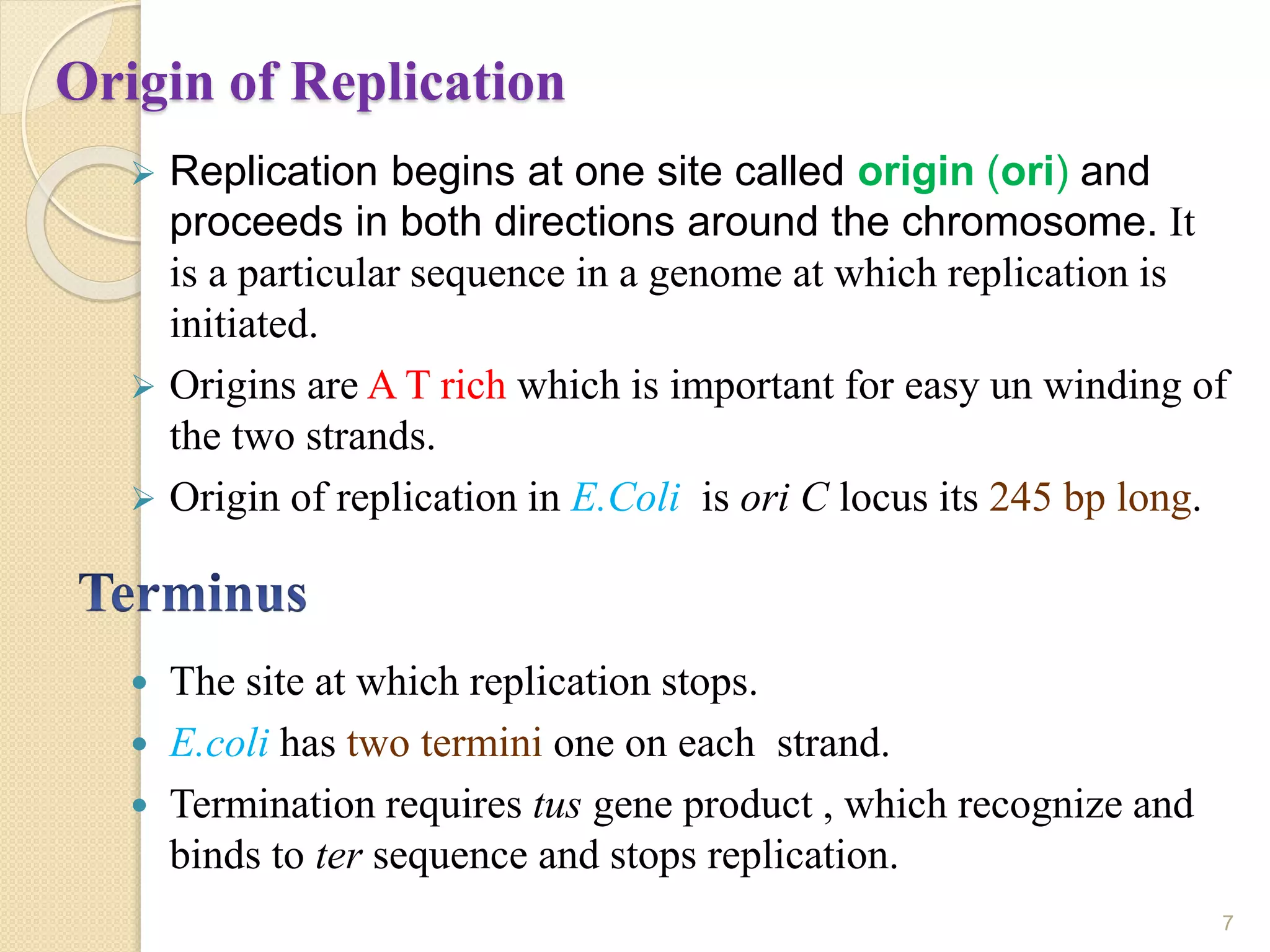 Dna replication in prokaryotes | PPTX