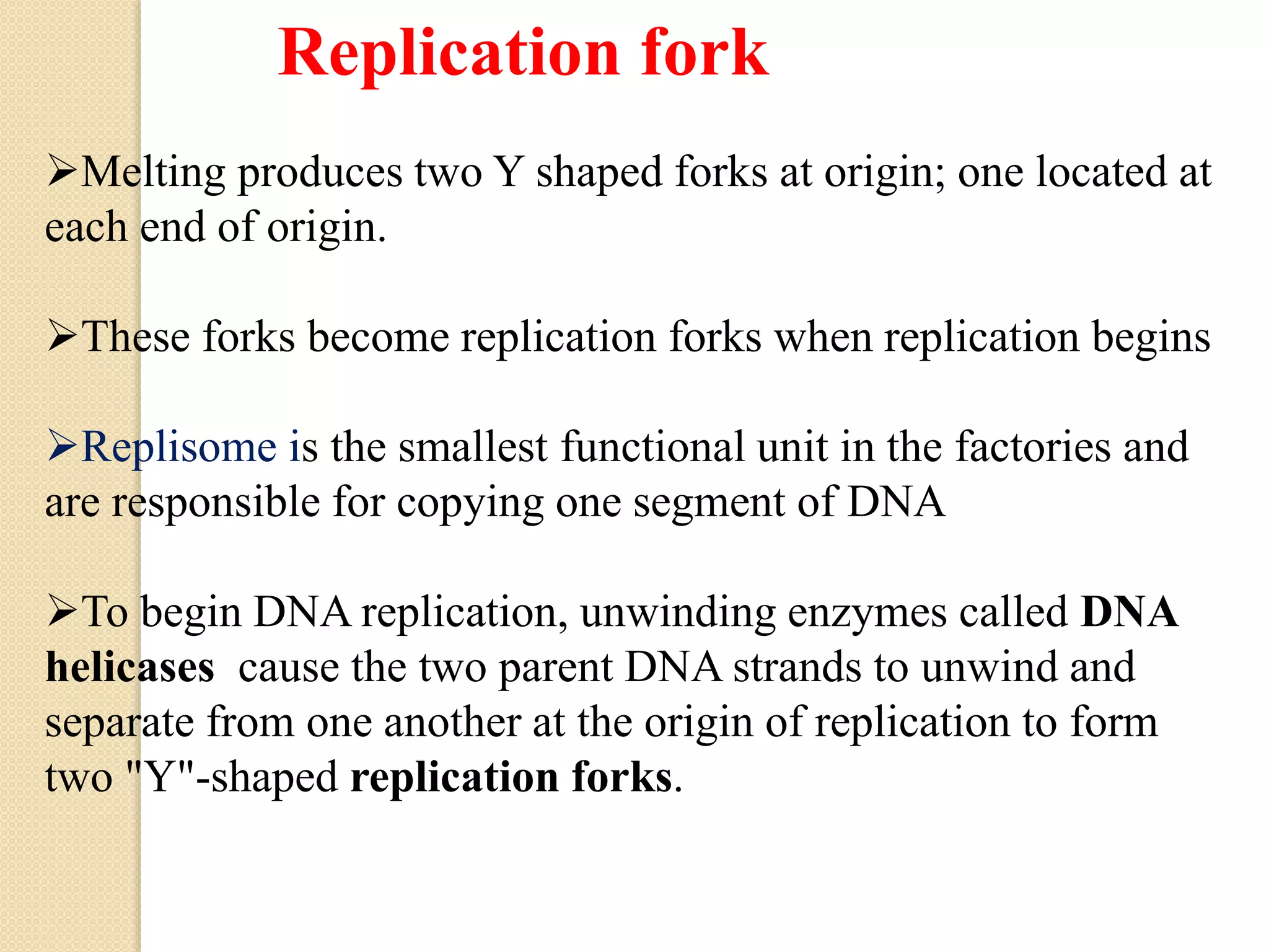 Dna replication in prokaryotes | PPTX