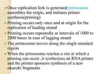 Dna replication in prokaryotes | PPTX