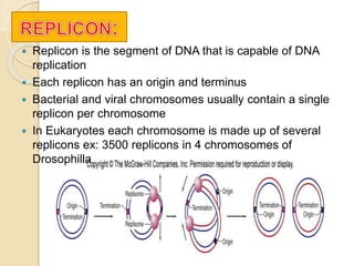 Dna replication in prokaryotes | PPTX