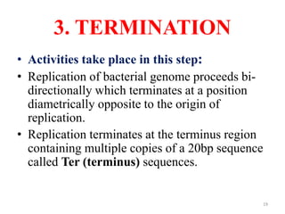 Dna replication in prokaryotes | PPT