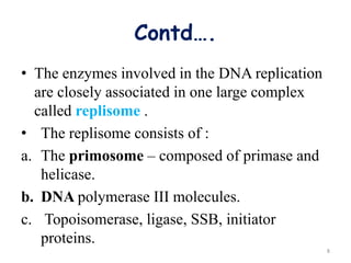 Dna replication in prokaryotes | PPT