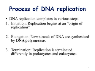 Dna replication in prokaryotes | PPT