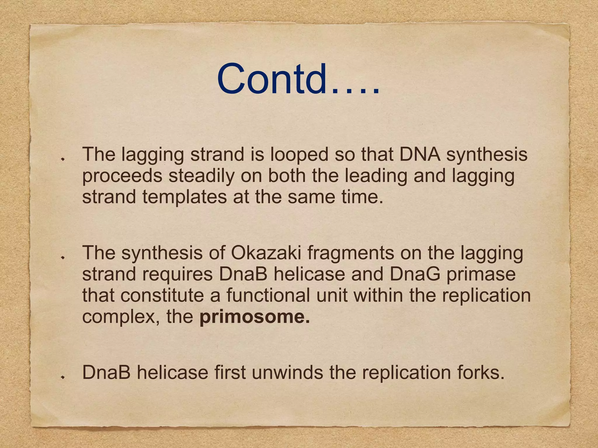 Dna Replication In Prokaryotes | PPTX