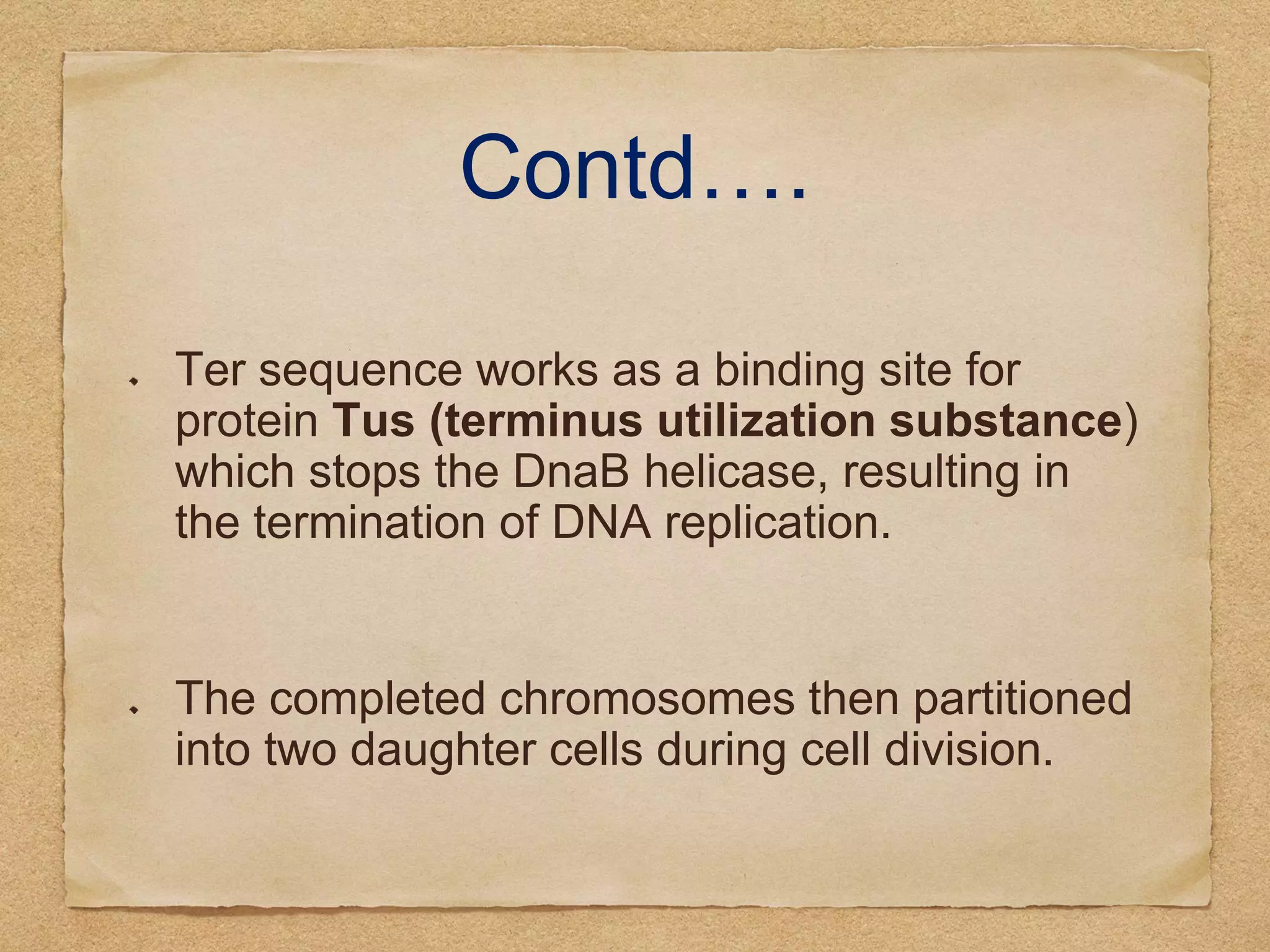 Dna Replication In Prokaryotes | PPTX