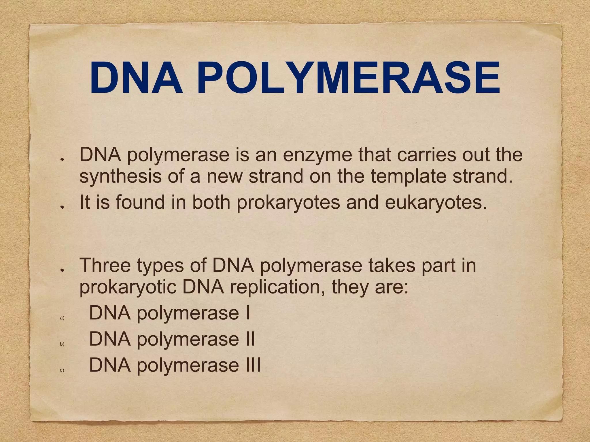 Dna Replication In Prokaryotes | PPTX