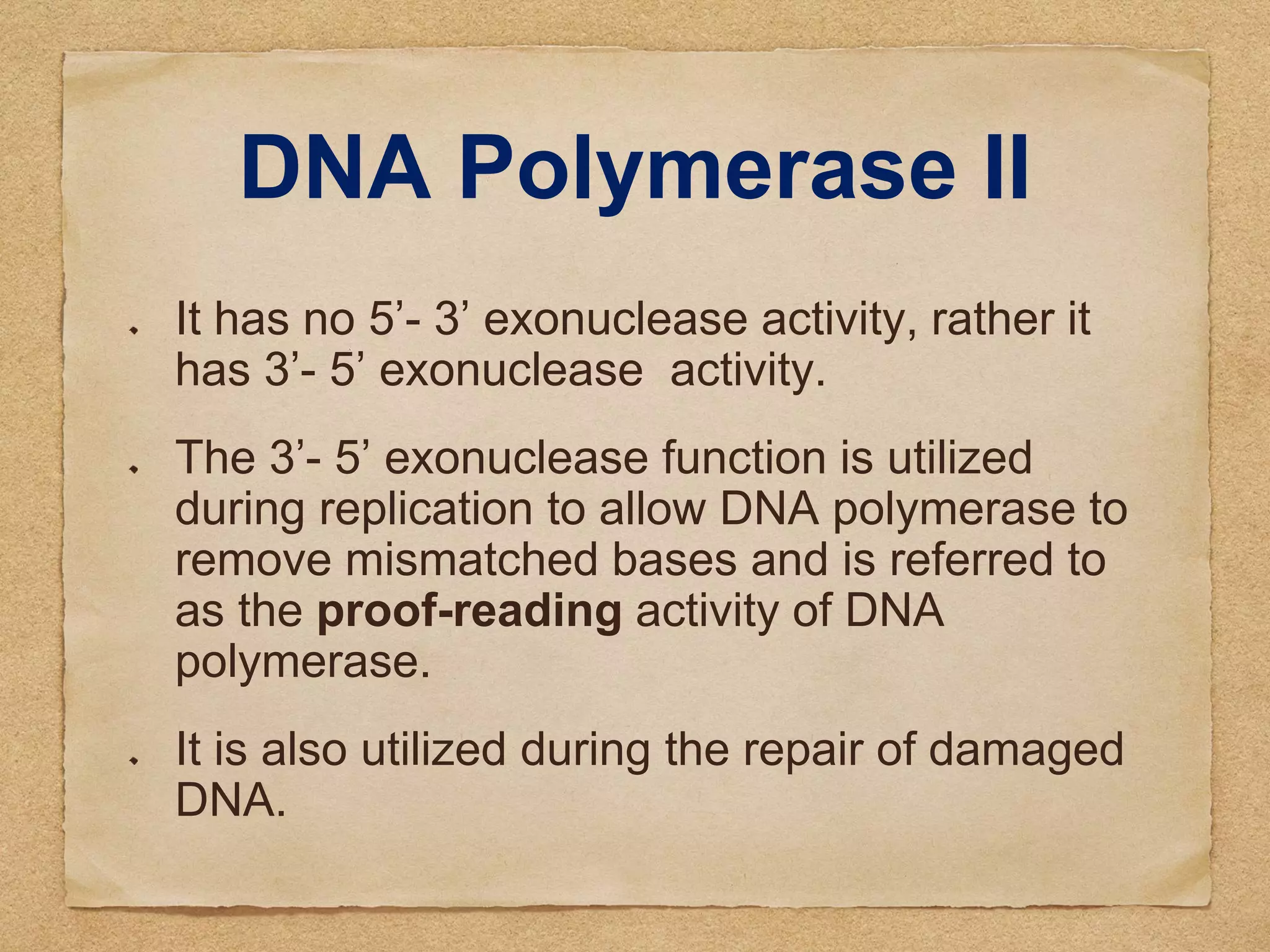 Dna Replication In Prokaryotes | PPTX