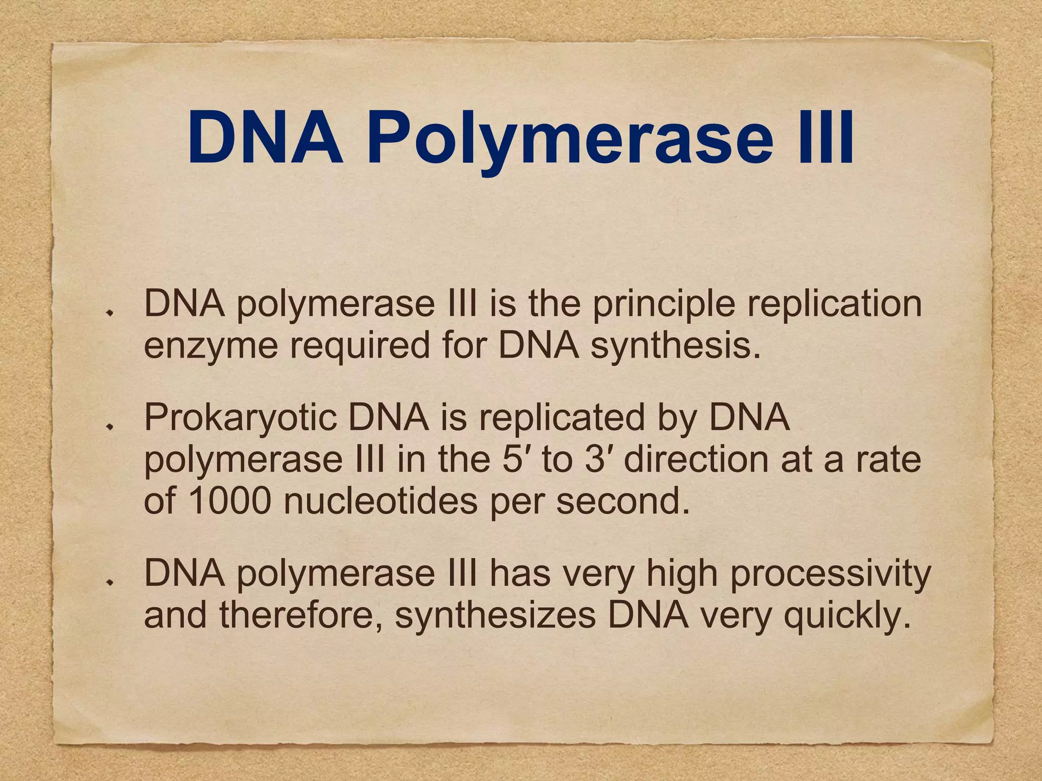Dna Replication In Prokaryotes | PPTX