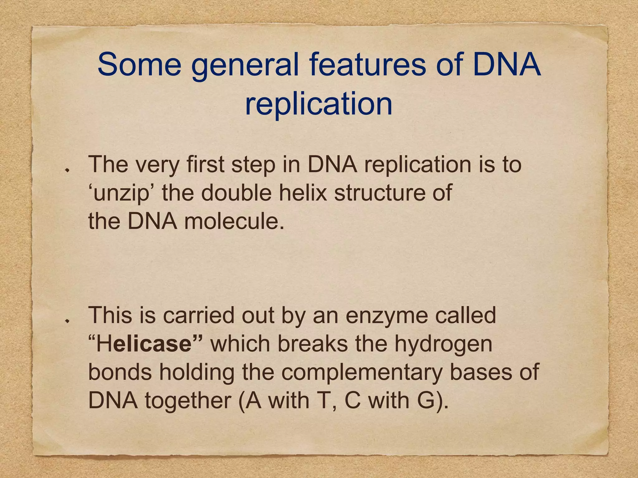 Dna Replication In Prokaryotes | PPTX