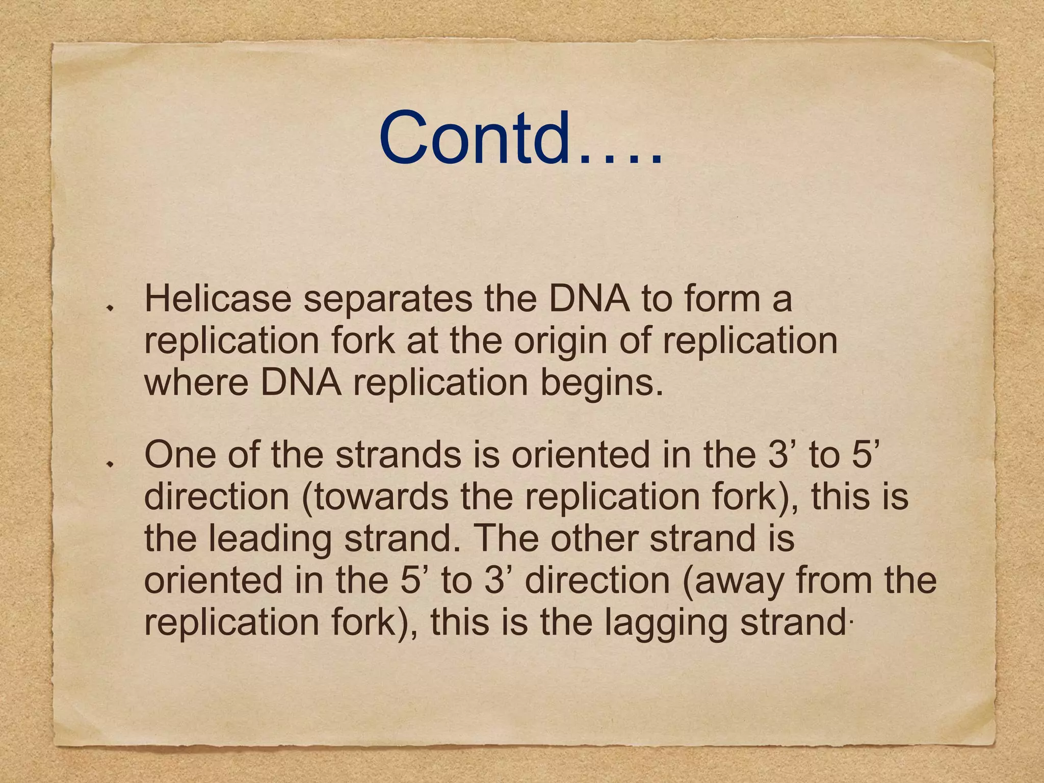 Dna Replication In Prokaryotes | PPTX