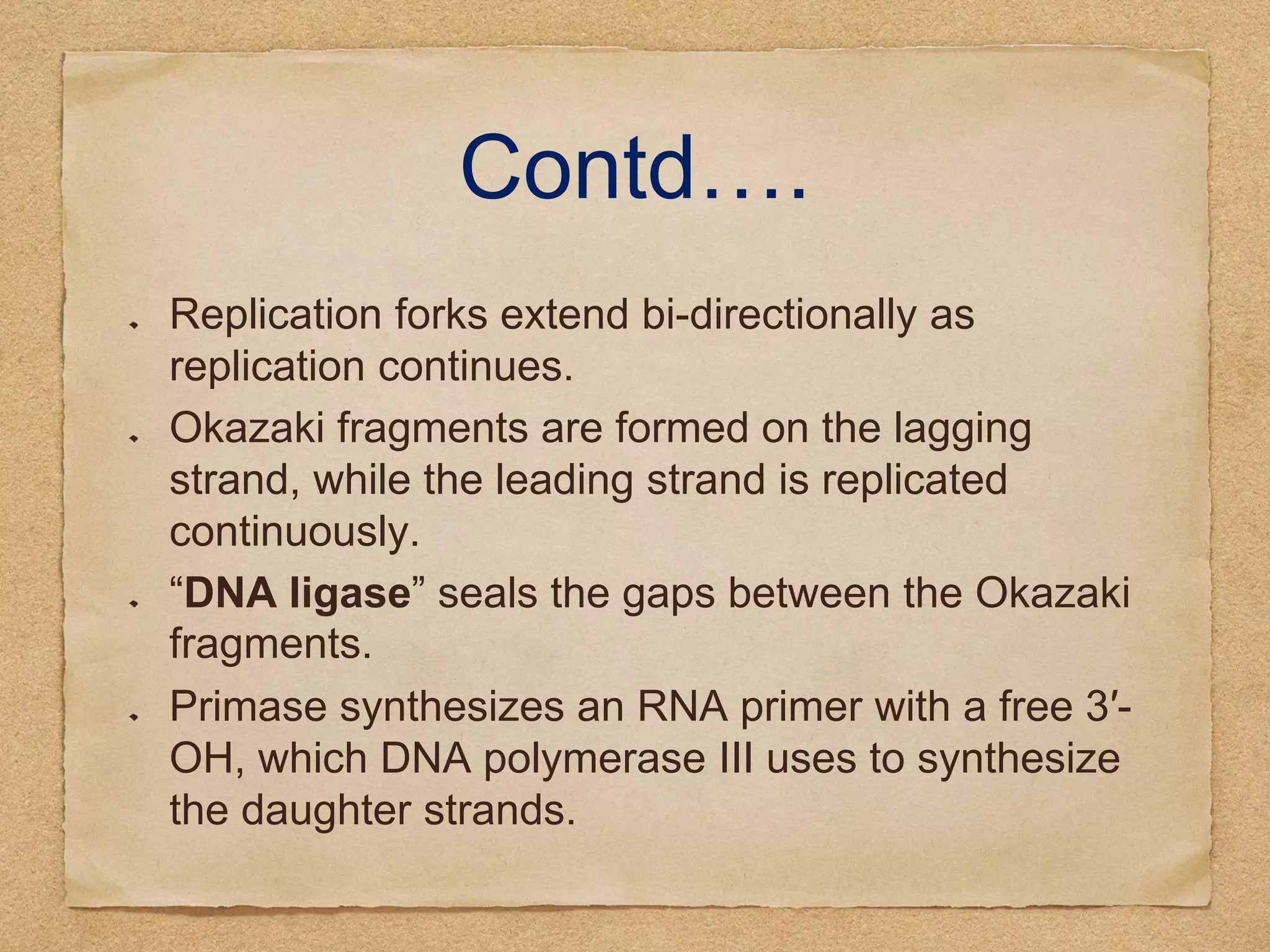 Dna Replication In Prokaryotes | PPTX