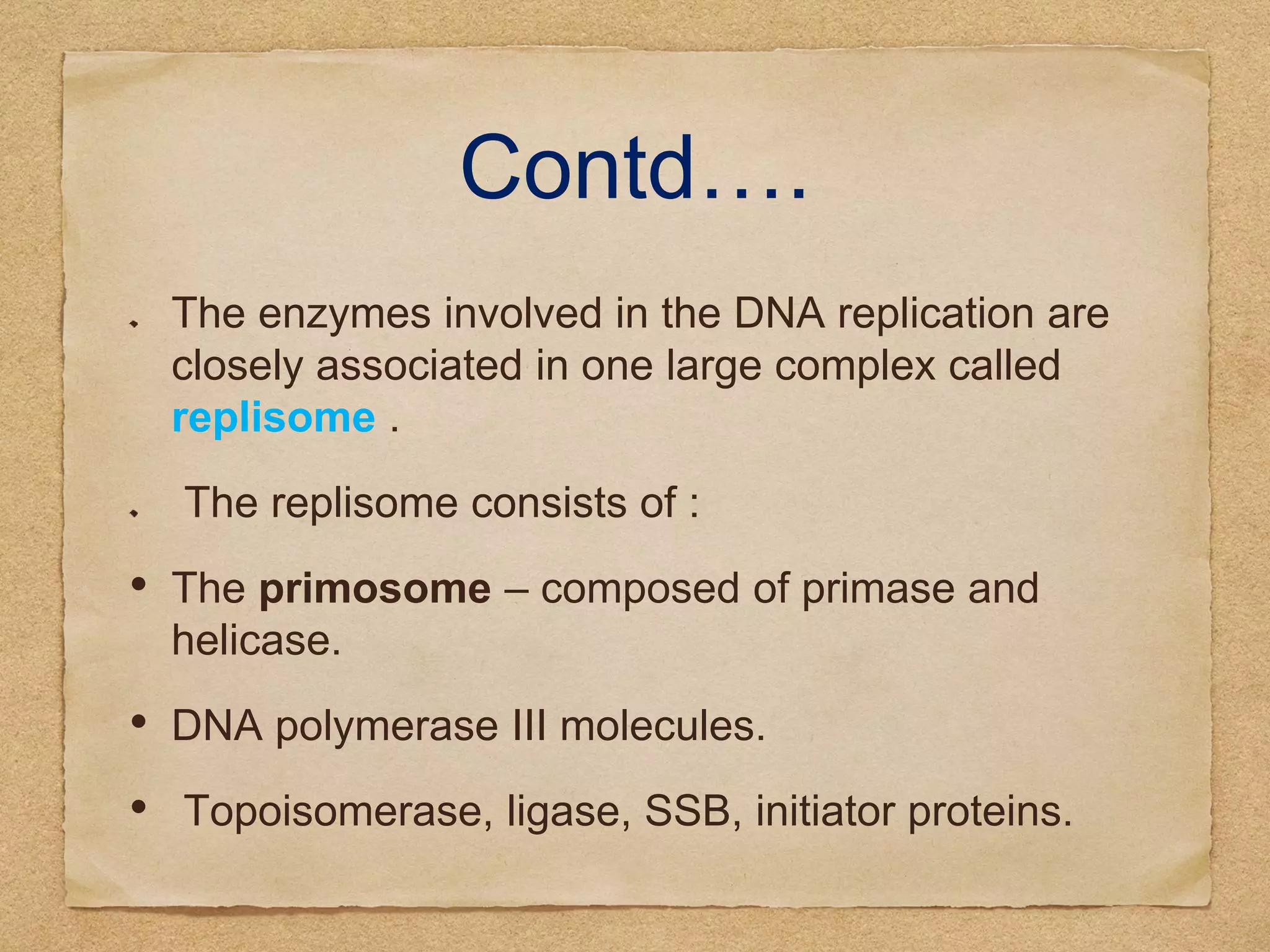 Dna Replication In Prokaryotes | PPTX